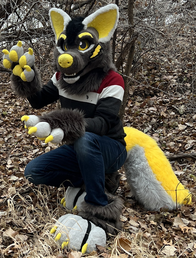 Collections · FuzzButt Fursuits